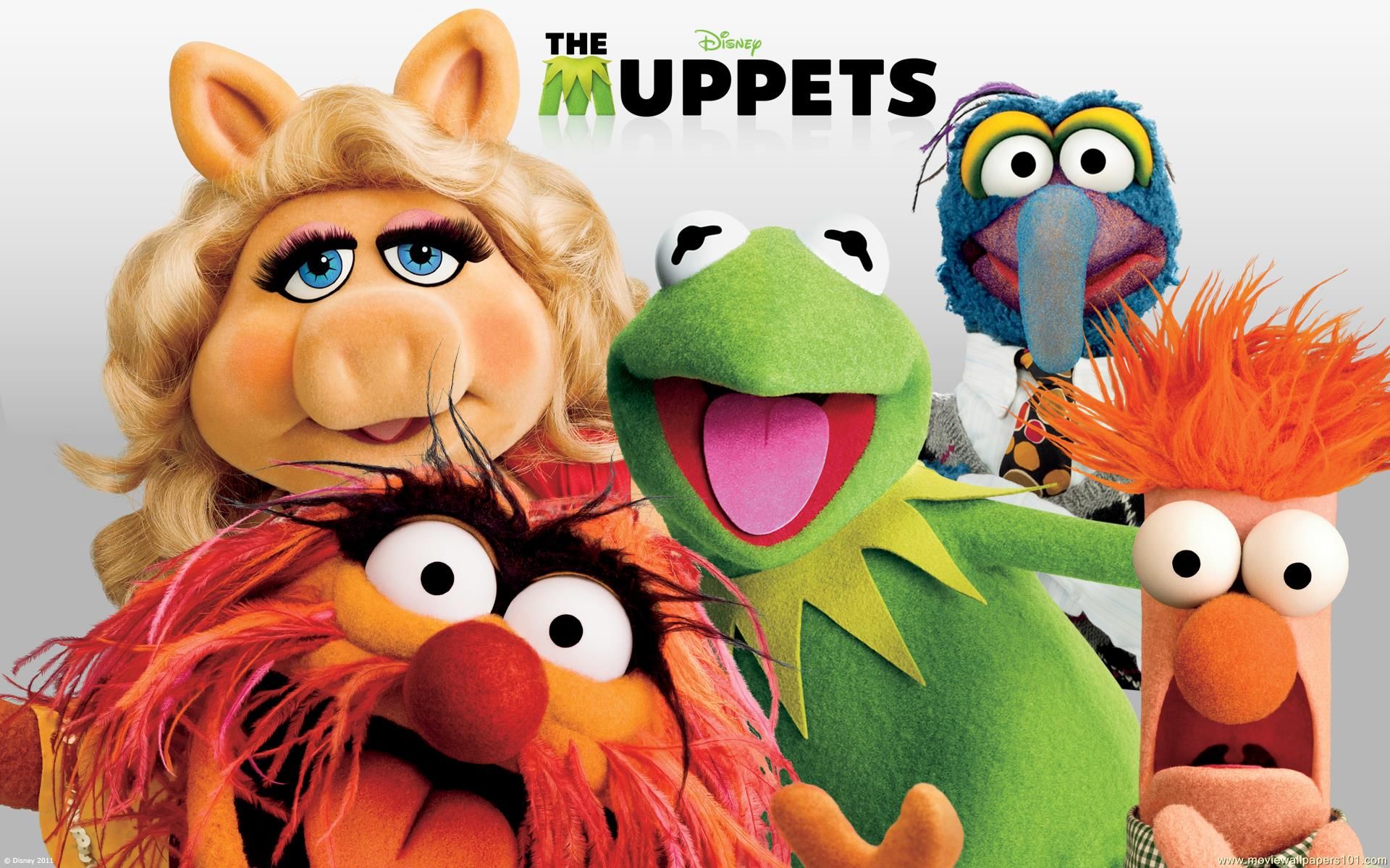 Muppets Most Wanted Wallpaper - Disney Muppet - 1920x1200 Wallpaper ...