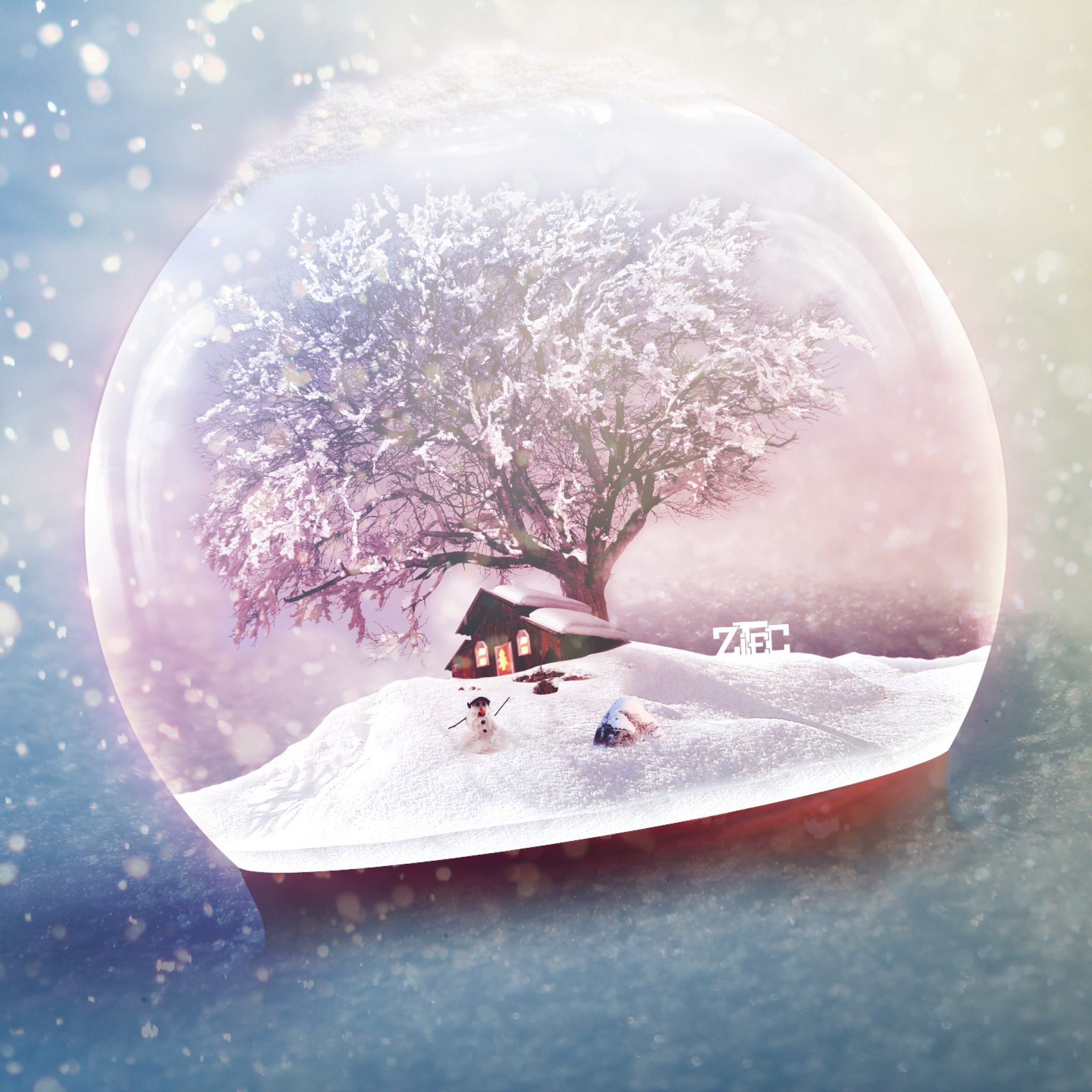 December Nature Images Hd - 2048x2048 Wallpaper - teahub.io