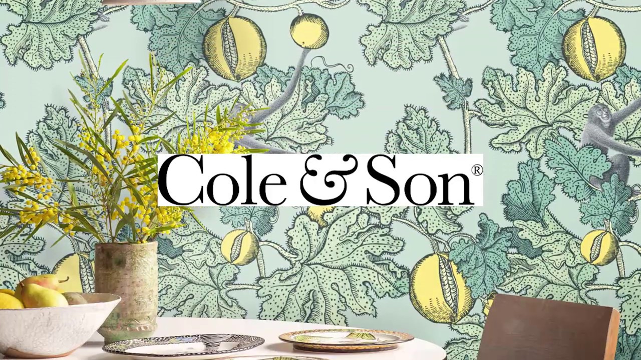 Cole And Son Monkeys - 1280x720 Wallpaper - teahub.io