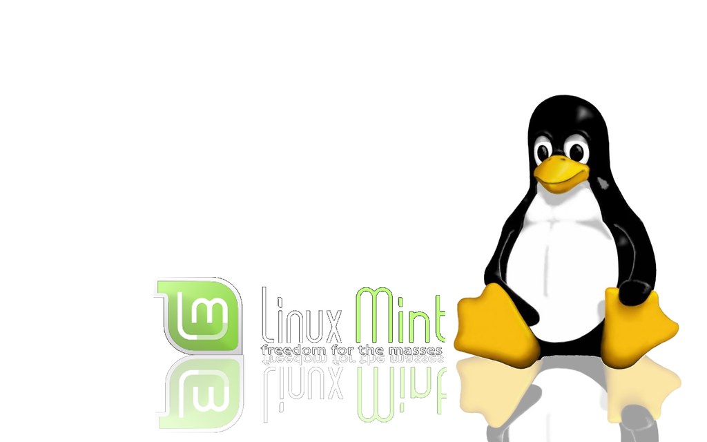 Linux Tux Wallpaper Mint - 1024x640 Wallpaper - teahub.io