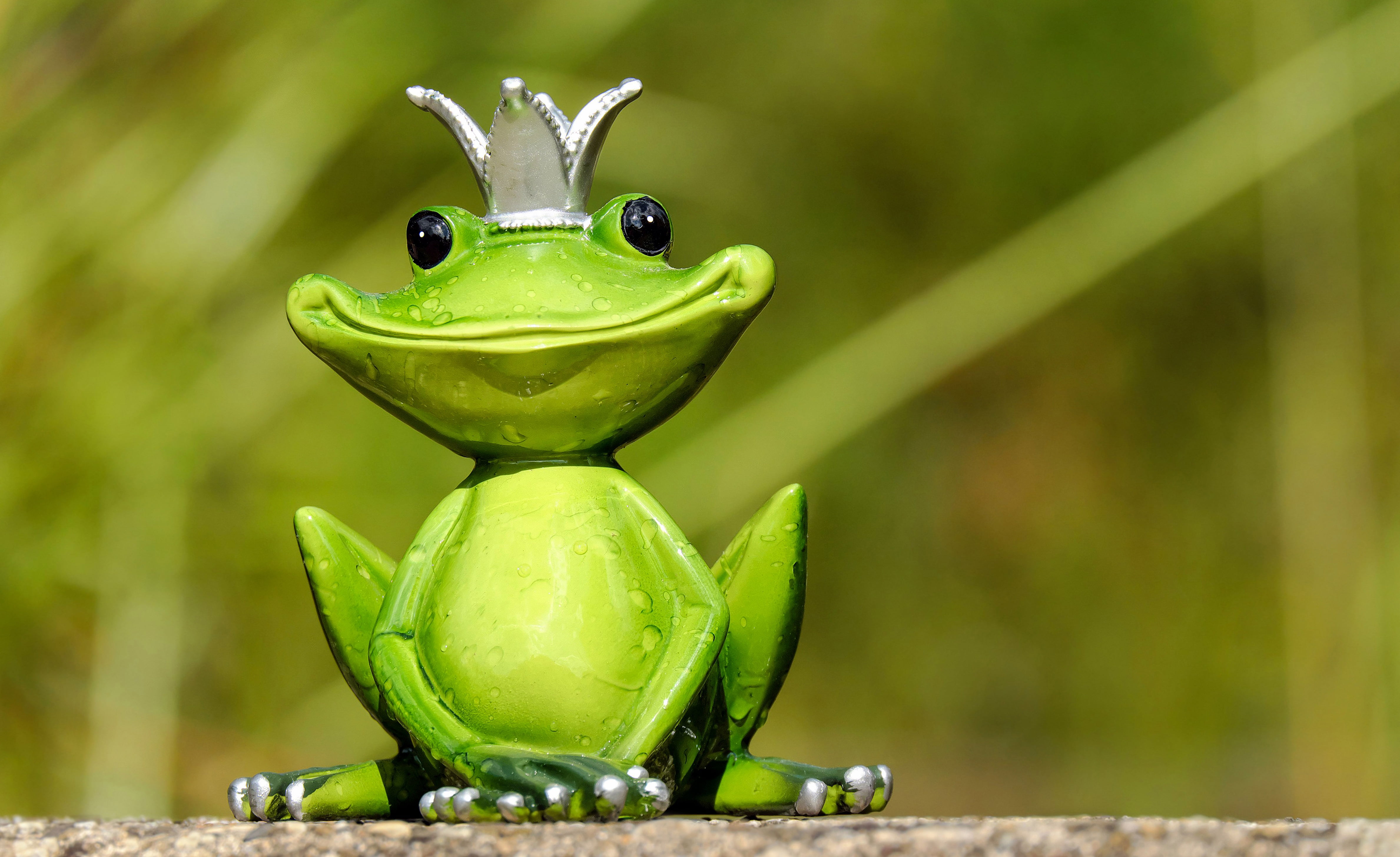 King Frog - 4756x2910 Wallpaper - teahub.io