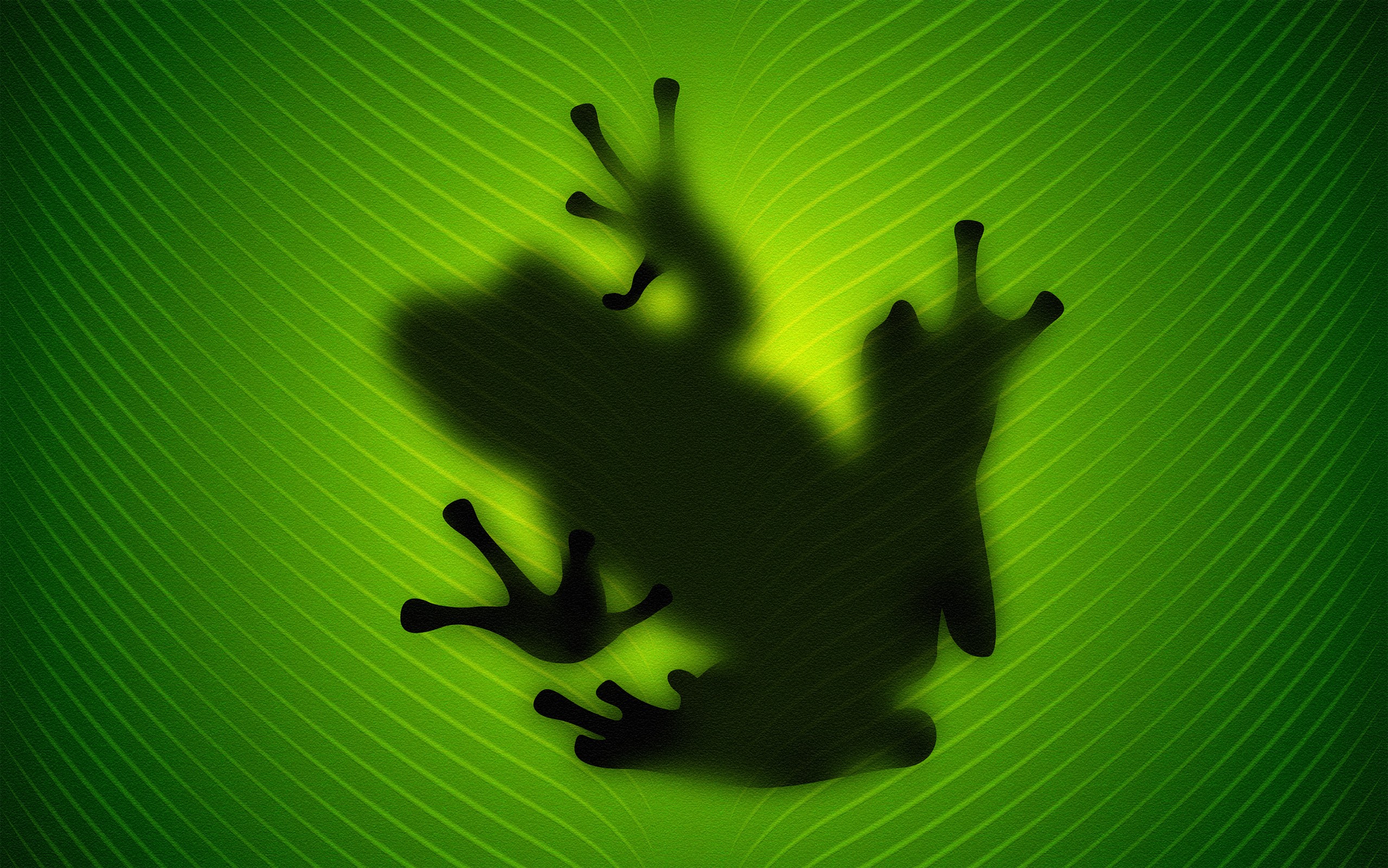 Frog Shadow On Leaf - 2560x1600 Wallpaper - teahub.io