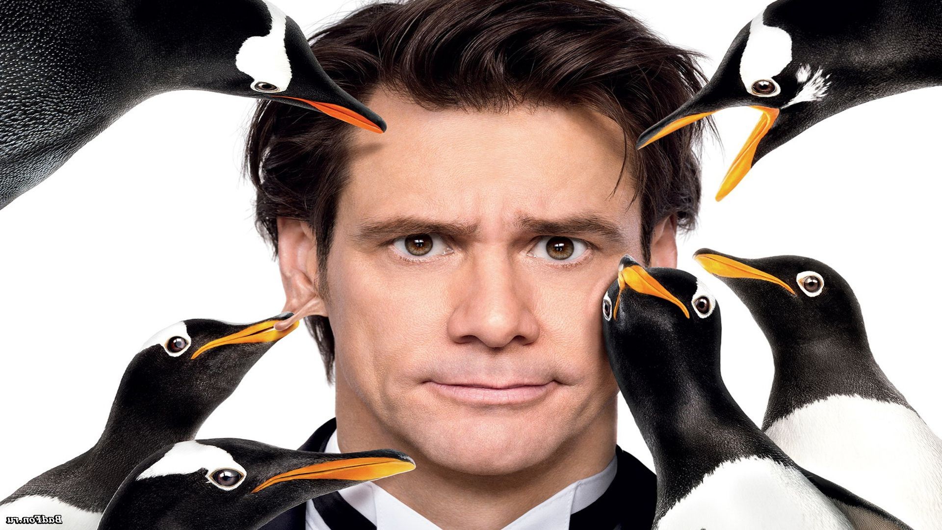 Actors Portrait One Adult Wear - Mr Popper's Penguins Movie Poster ...