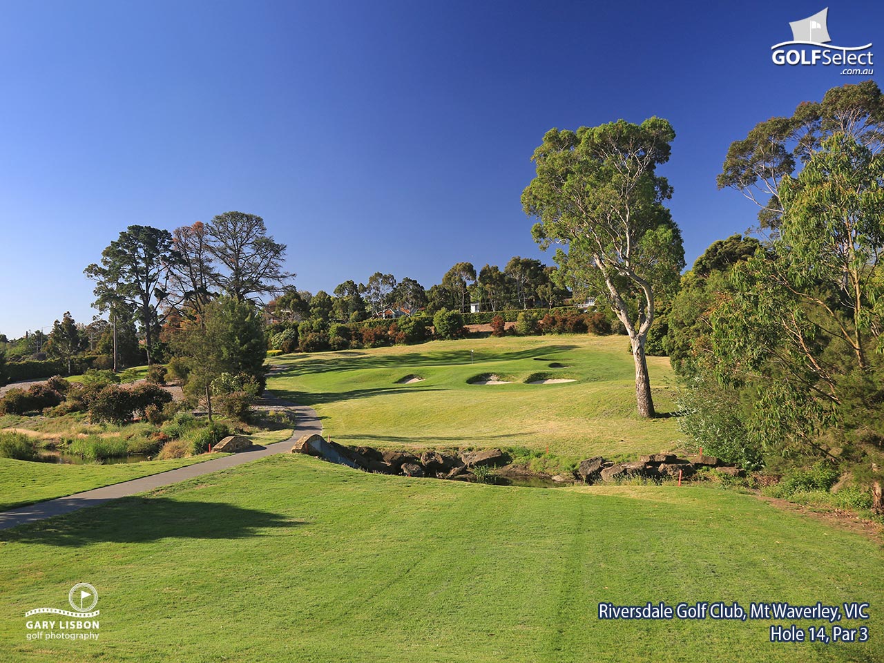 Riversdale Golf Club Hole 14, Par - Tree - 1280x960 Wallpaper - teahub.io