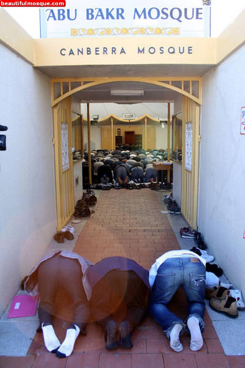 Canberra Mosque In Yarralumla - Floor - 800x1200 Wallpaper - teahub.io
