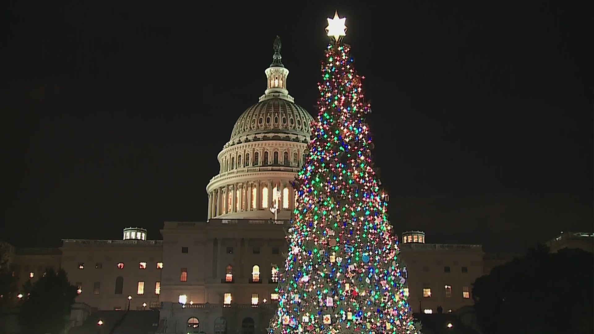 2019 Capitol Christmas Tree - 1920x1080 Wallpaper - teahub.io