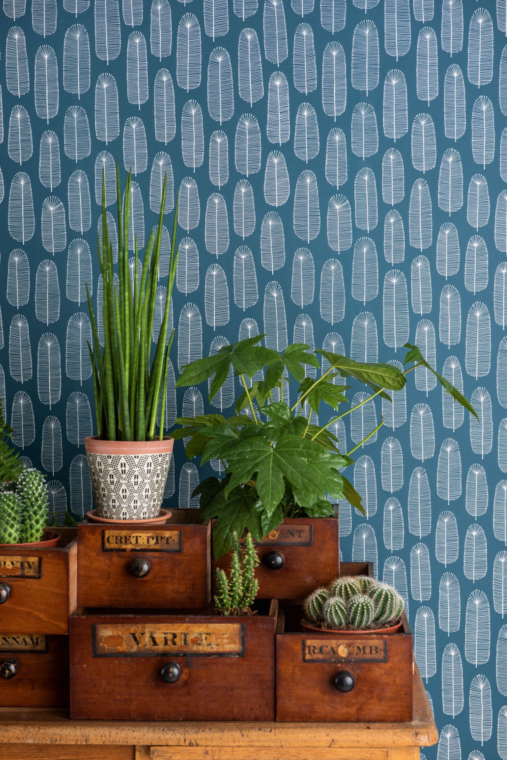 Miss Print - 1920x2877 Wallpaper - teahub.io