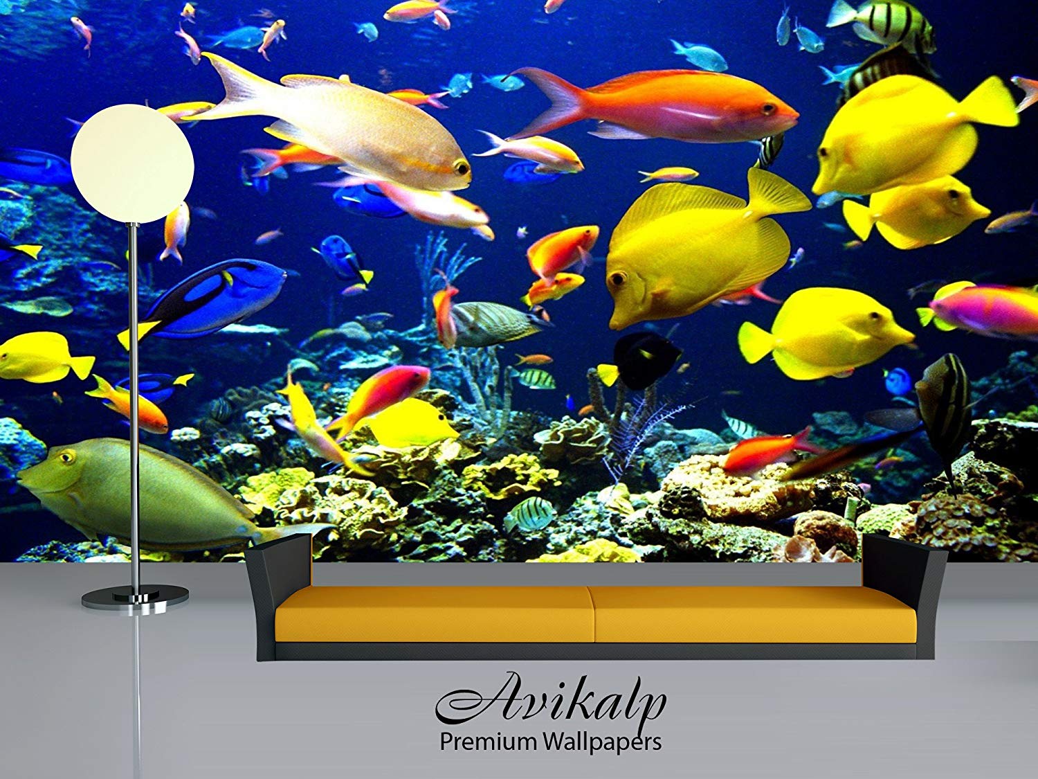 Sea With Different Colors Of Fish - 1500x1125 Wallpaper - teahub.io