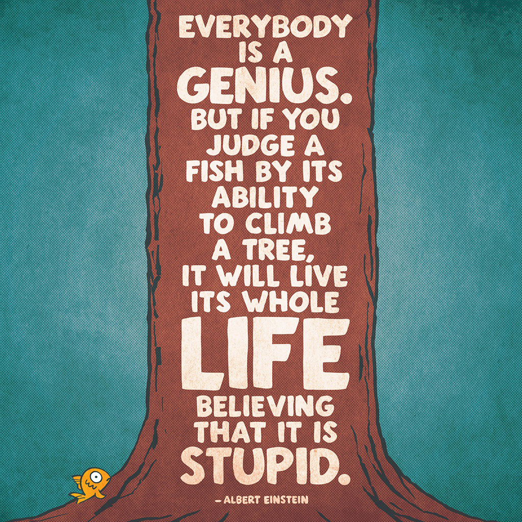 Fish Ability To Climb Tree - 1024x1024 Wallpaper - teahub.io