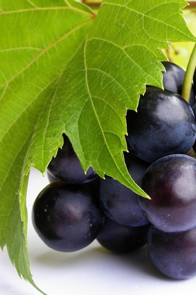 Iphone Hd Wallpapers Of Grapes - 640x960 Wallpaper - teahub.io