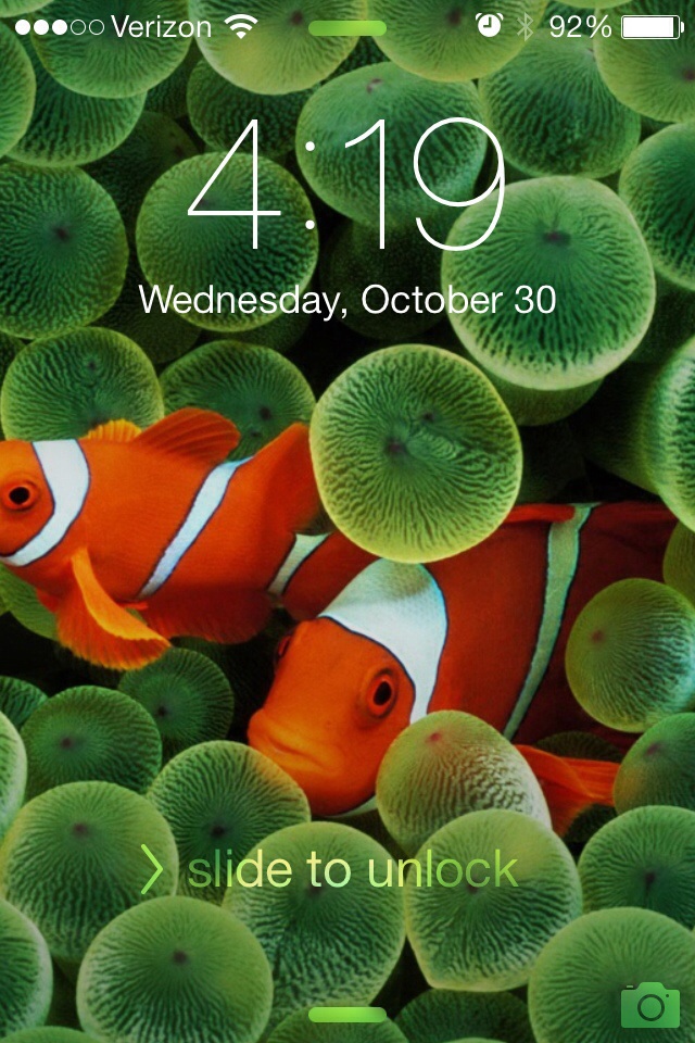 Clown Fish Hd Iphone - 640x960 Wallpaper - teahub.io