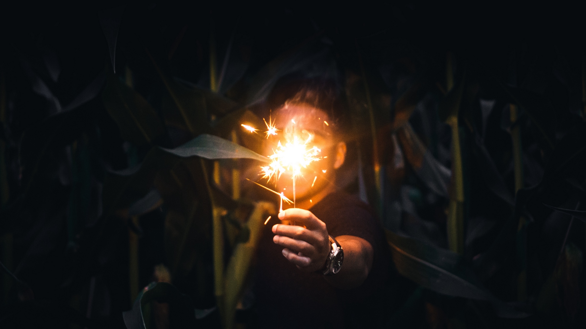 Wallpaper Bengali Fire, Hand, Person, Holiday - Bengali Fire ...