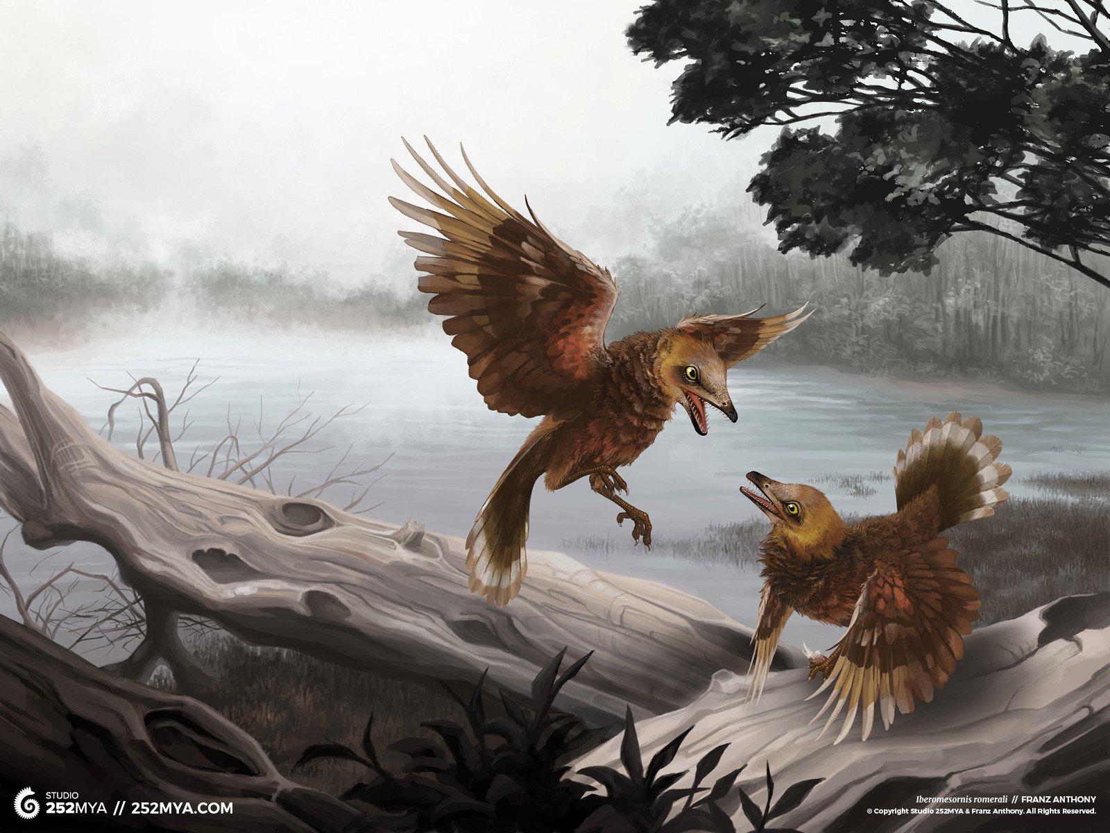 Studio 252mya - 1600x1200 Wallpaper - teahub.io