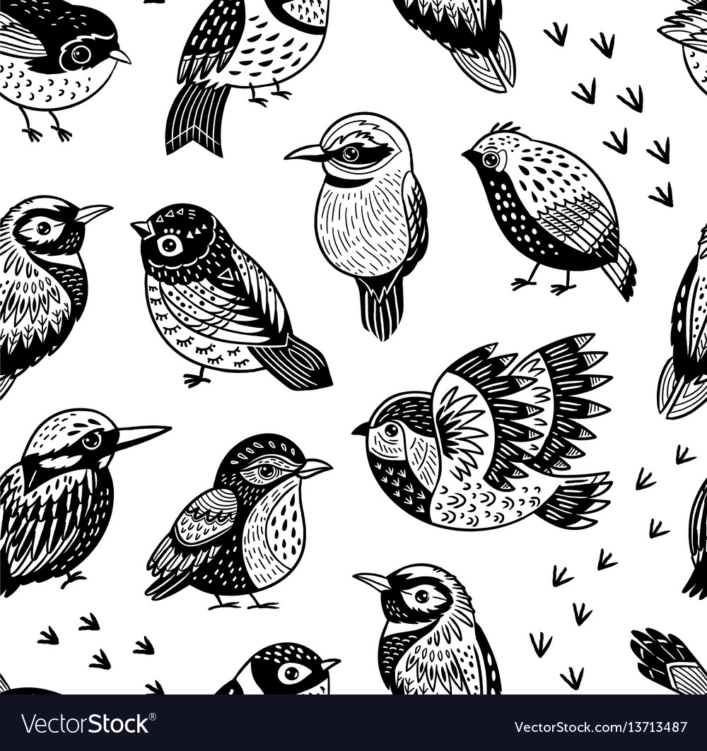 Hand Drawn Bird Vector - 1000x1063 Wallpaper - teahub.io