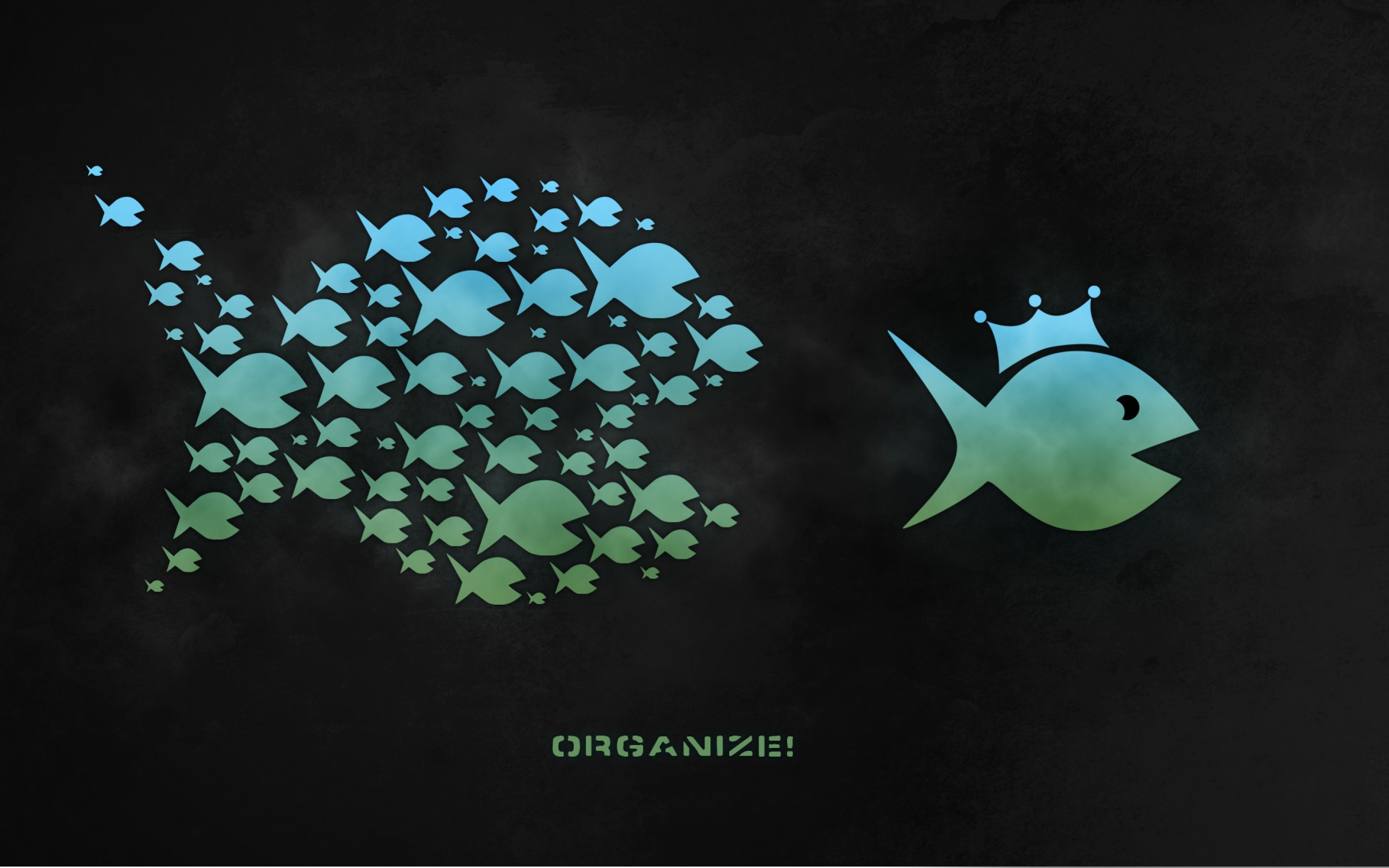 Organize Fish - 2880x1800 Wallpaper - teahub.io