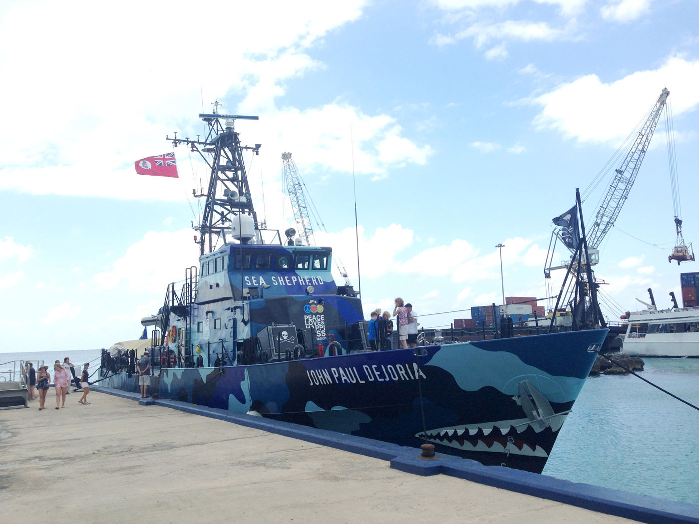 Sea Shepherd Wallpaper - 1400x1050 Wallpaper - teahub.io