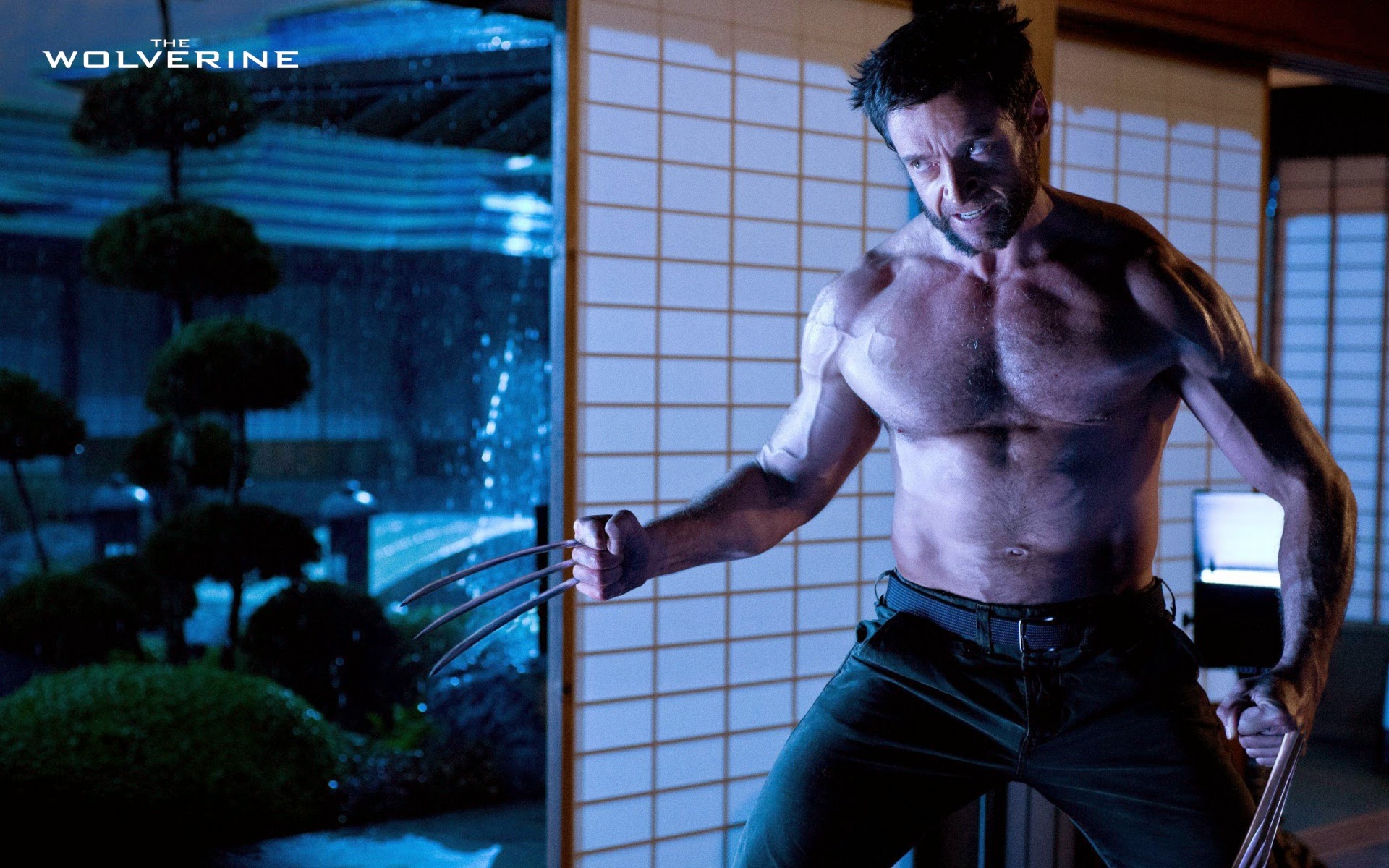 Japanese Wolverine - 1920x1200 Wallpaper - teahub.io