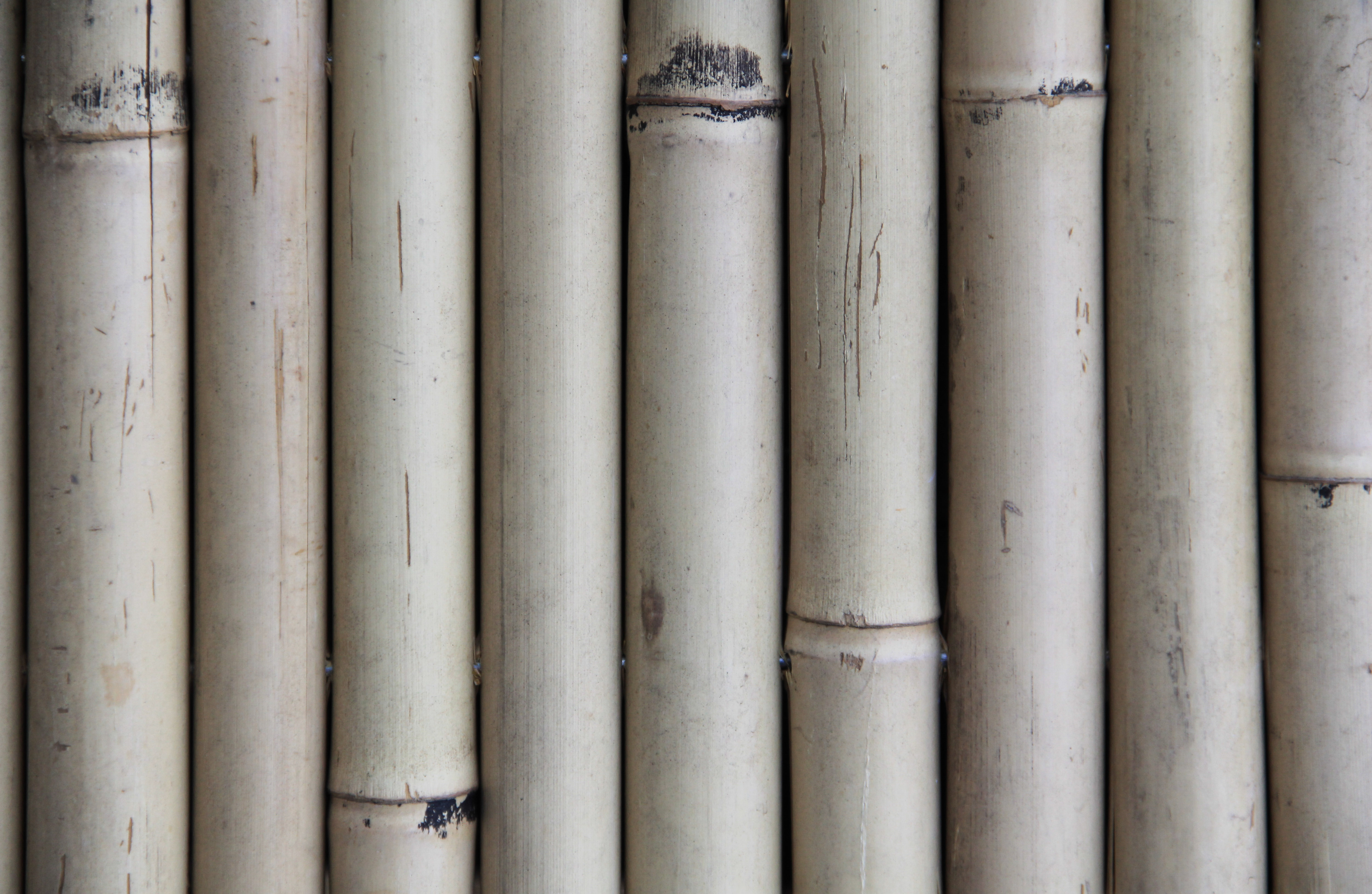 Grey Bamboo Texture - 5010x3265 Wallpaper - teahub.io