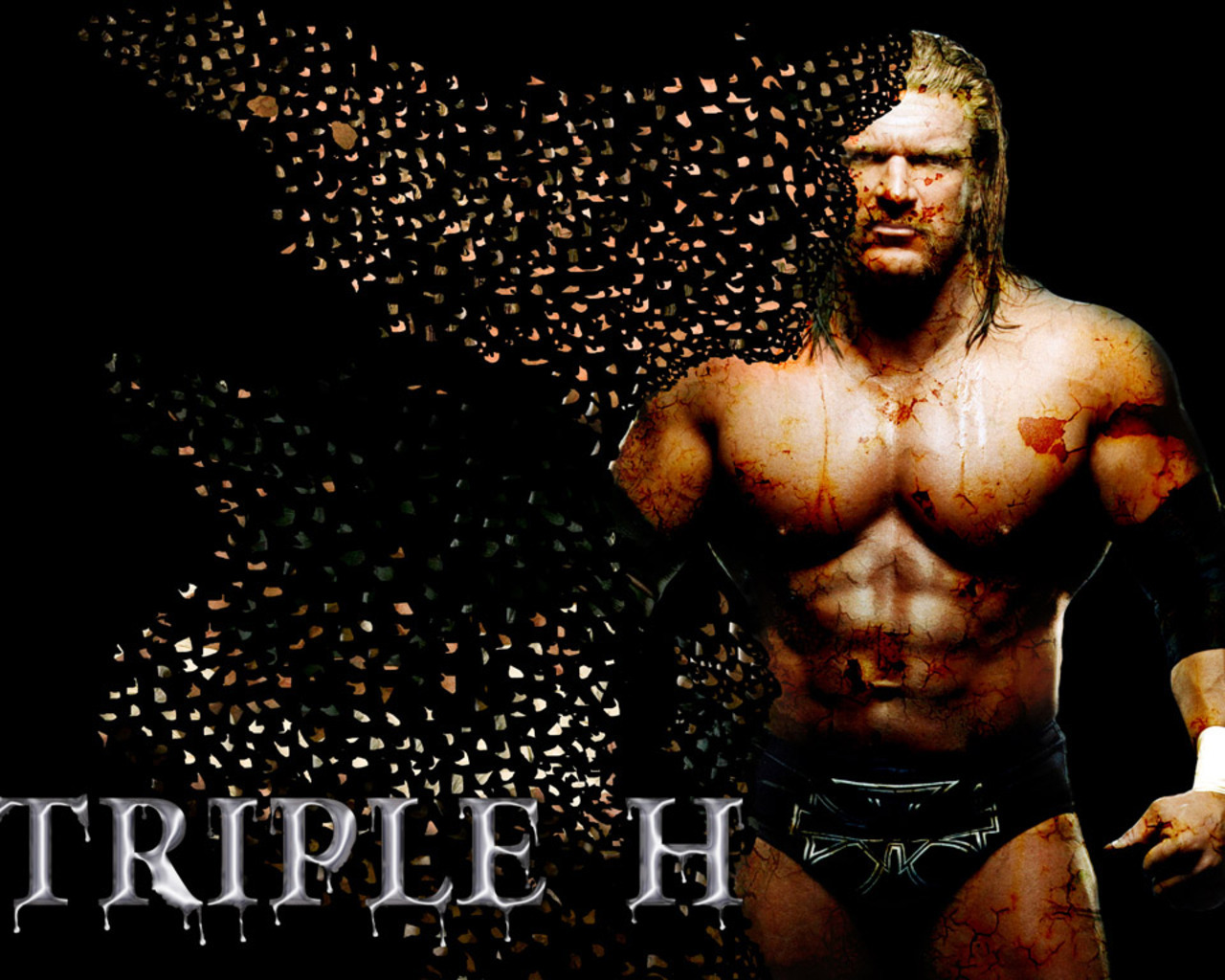 Triple H King Of Kings Wallpaper