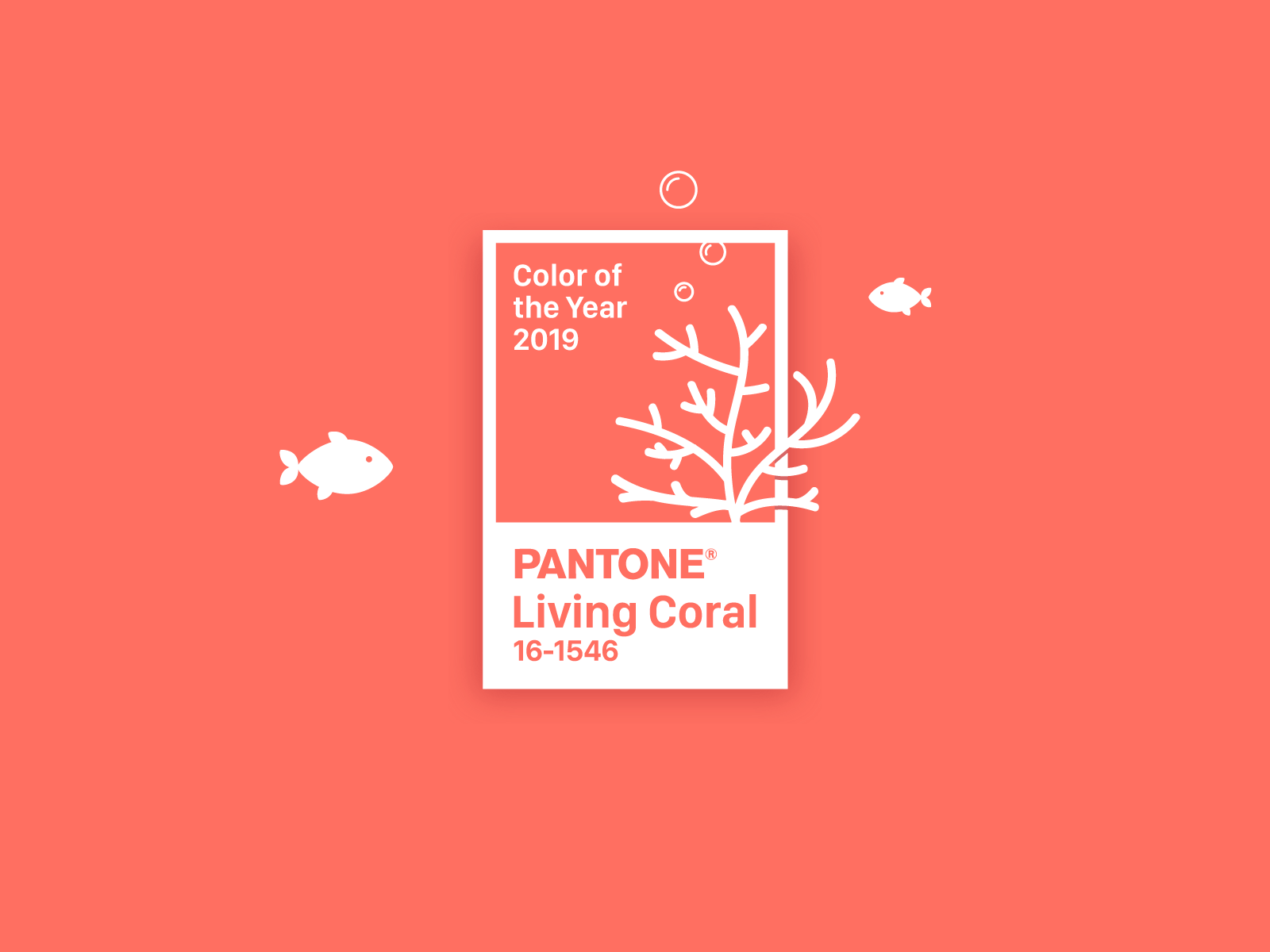 Living Coral - Pantone Color Of The Year 2019 - 1600x1200 Wallpaper ... Living Coral - Pantone Color Of The Year 2019 - 1600x1200 Wallpaper ...