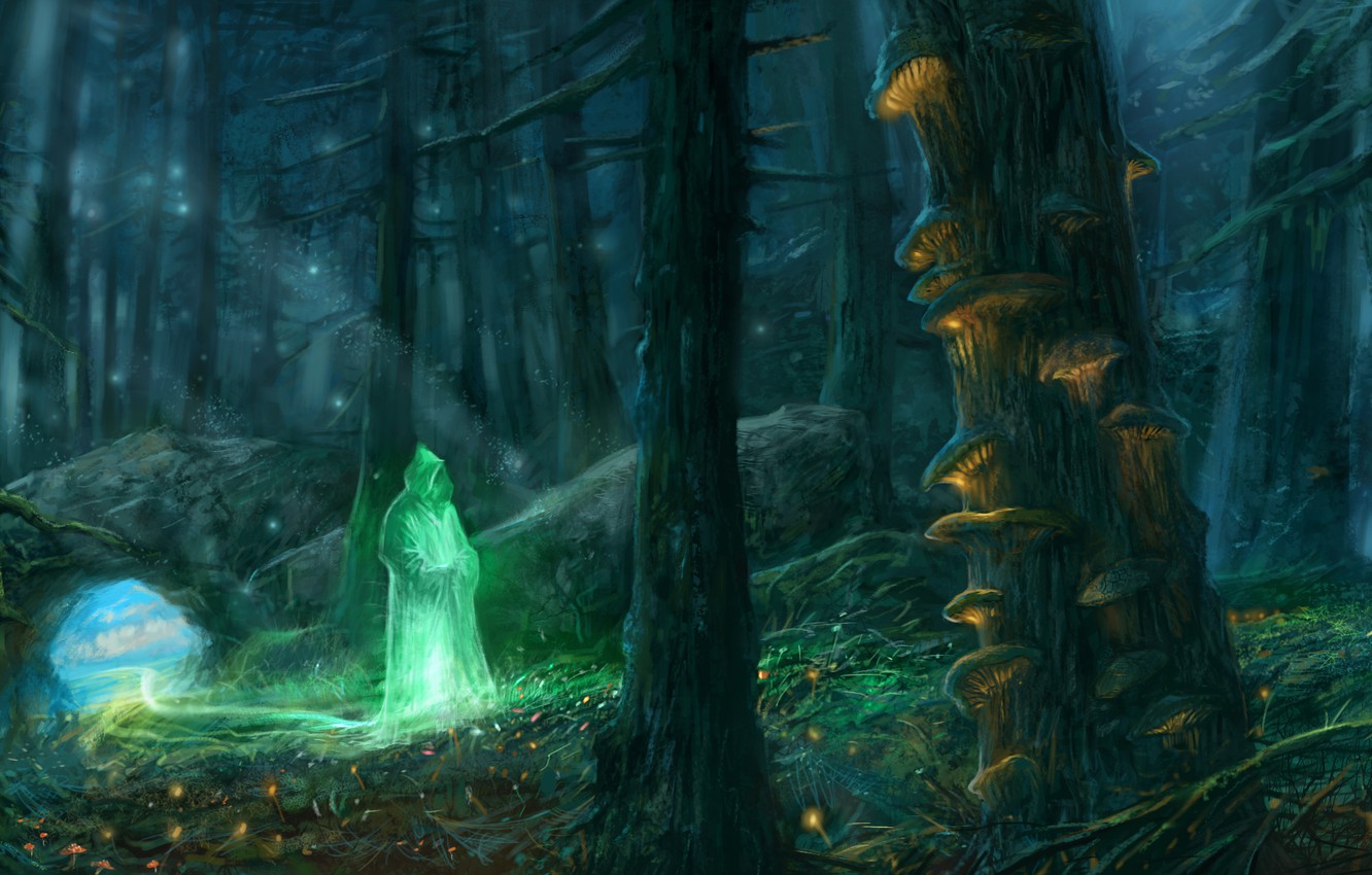 Photo Wallpaper Forest, Light, The Wanderer - Holy Forest Art ...