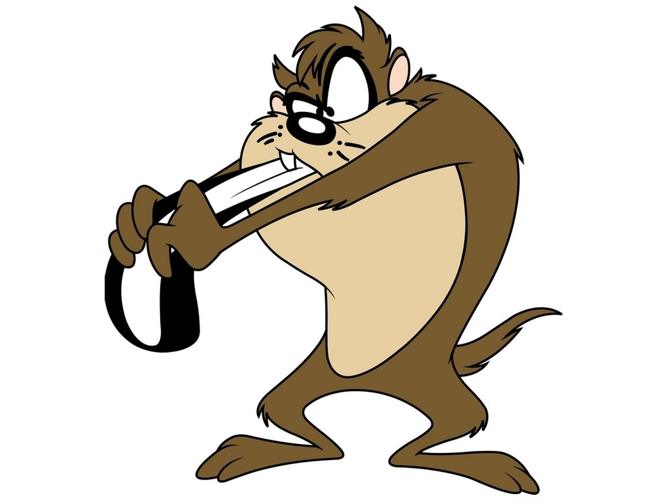 Taz - 960x720 Wallpaper - teahub.io