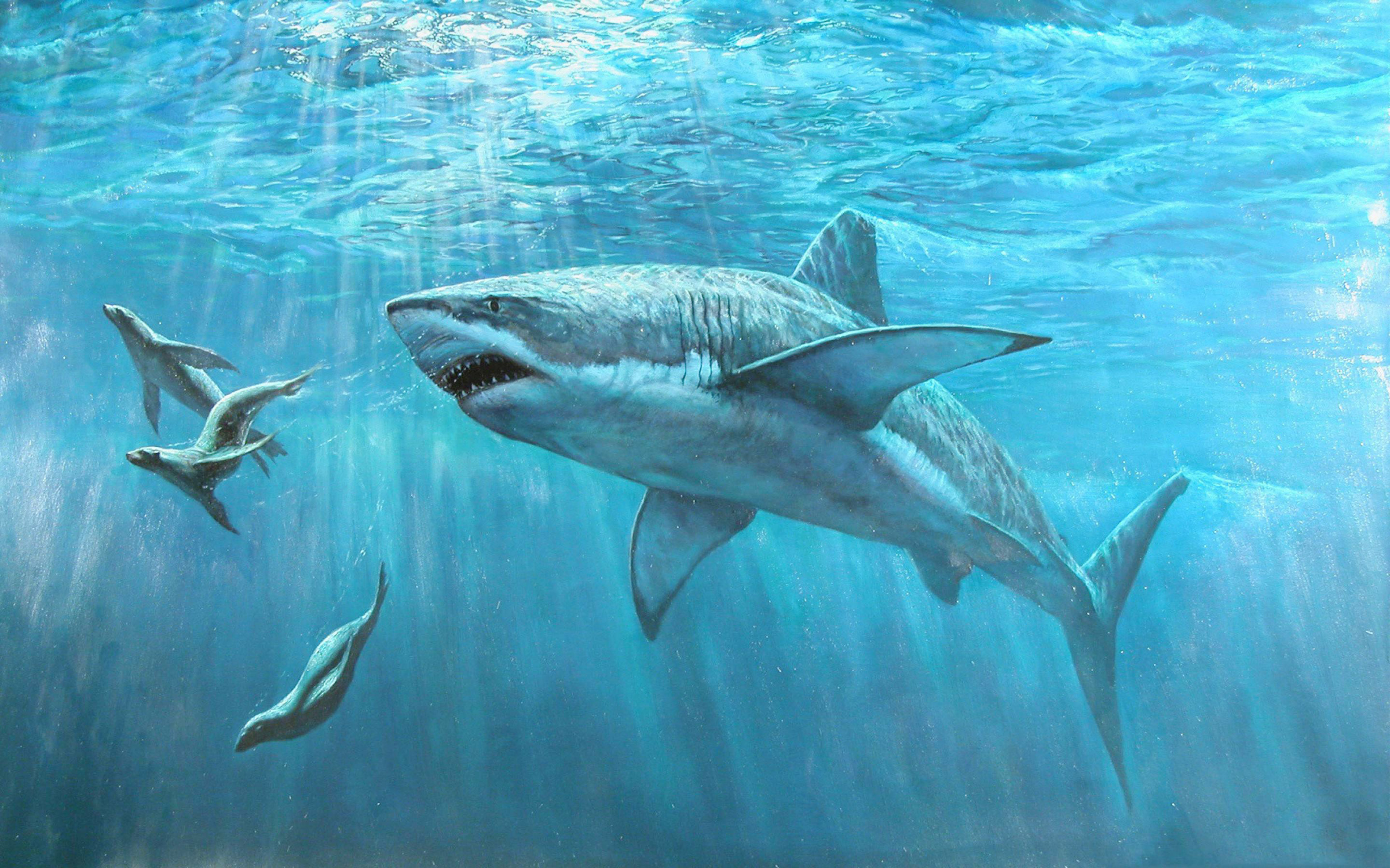 Great White Art - 3840x2400 Wallpaper - teahub.io