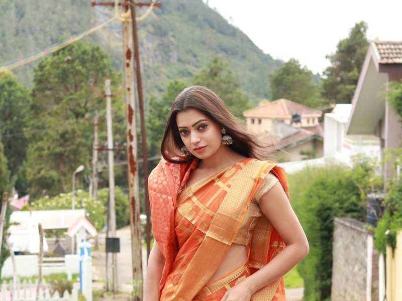 Asha Gowda Gokulathil Seethai - 800x600 Wallpaper - teahub.io