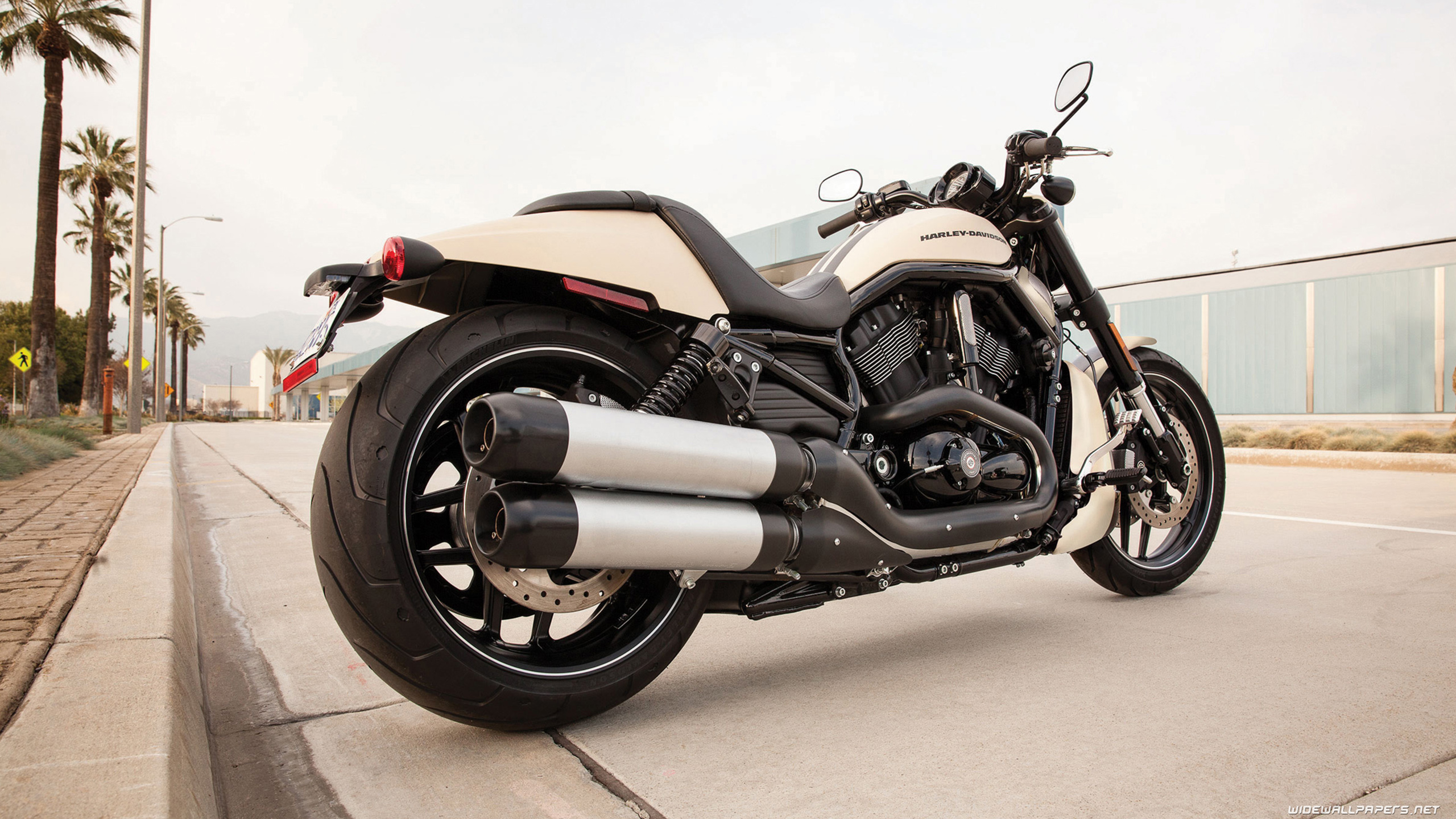 Harley-davidson Vrsc - 2560x1440 Wallpaper - teahub.io