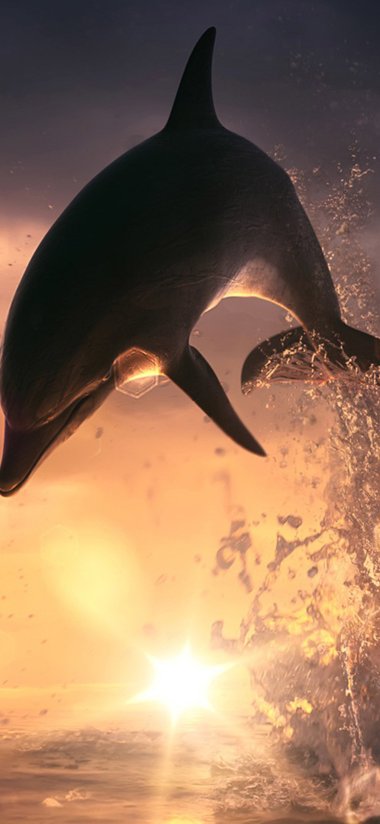 Dolphin Splashing Out Of Water - 1242x2688 Wallpaper - teahub.io