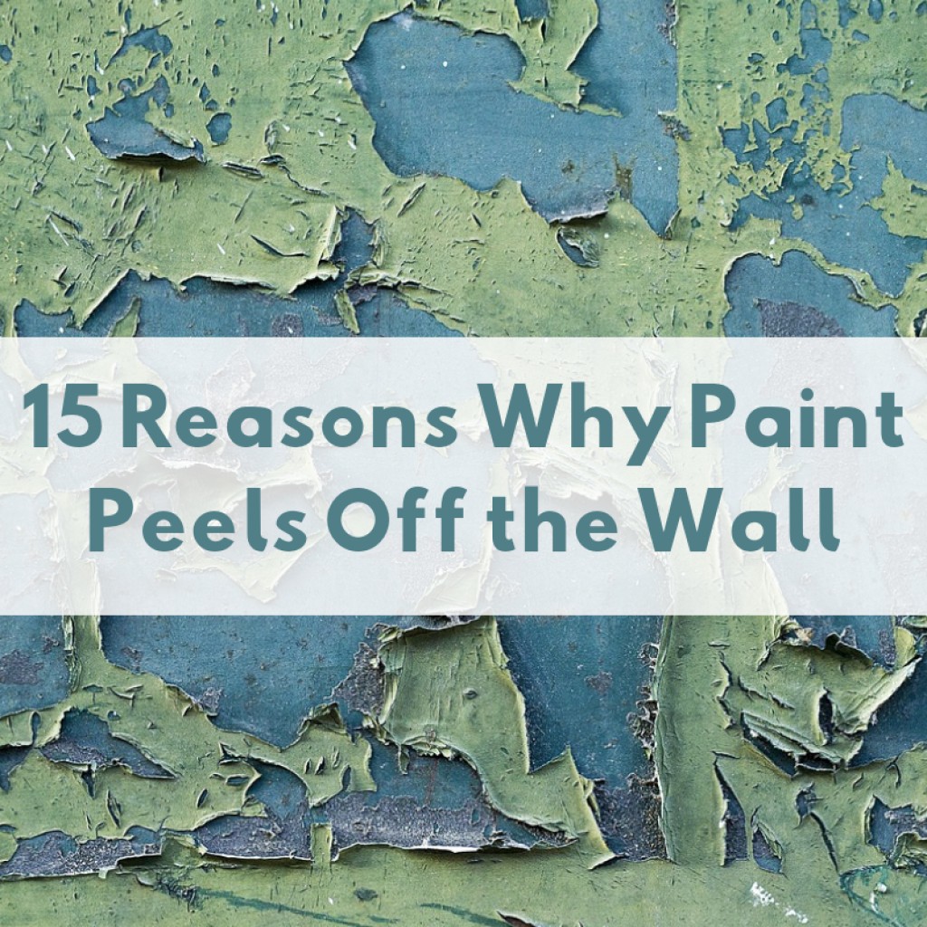 Paint Flaking Off Wall - 1024x1024 Wallpaper - teahub.io