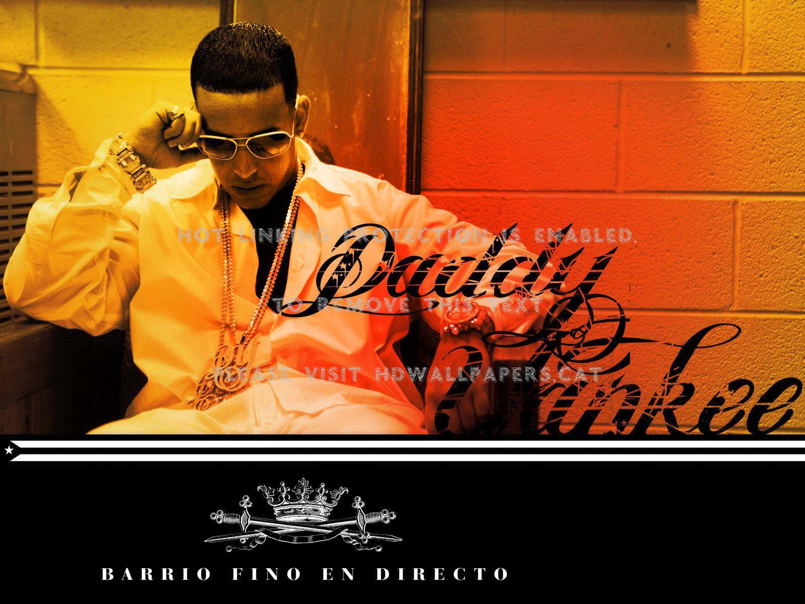 Daddy Yankee Puerto Rico Reggaeton Urban - Daddy Yankee - 1600x1200 ...