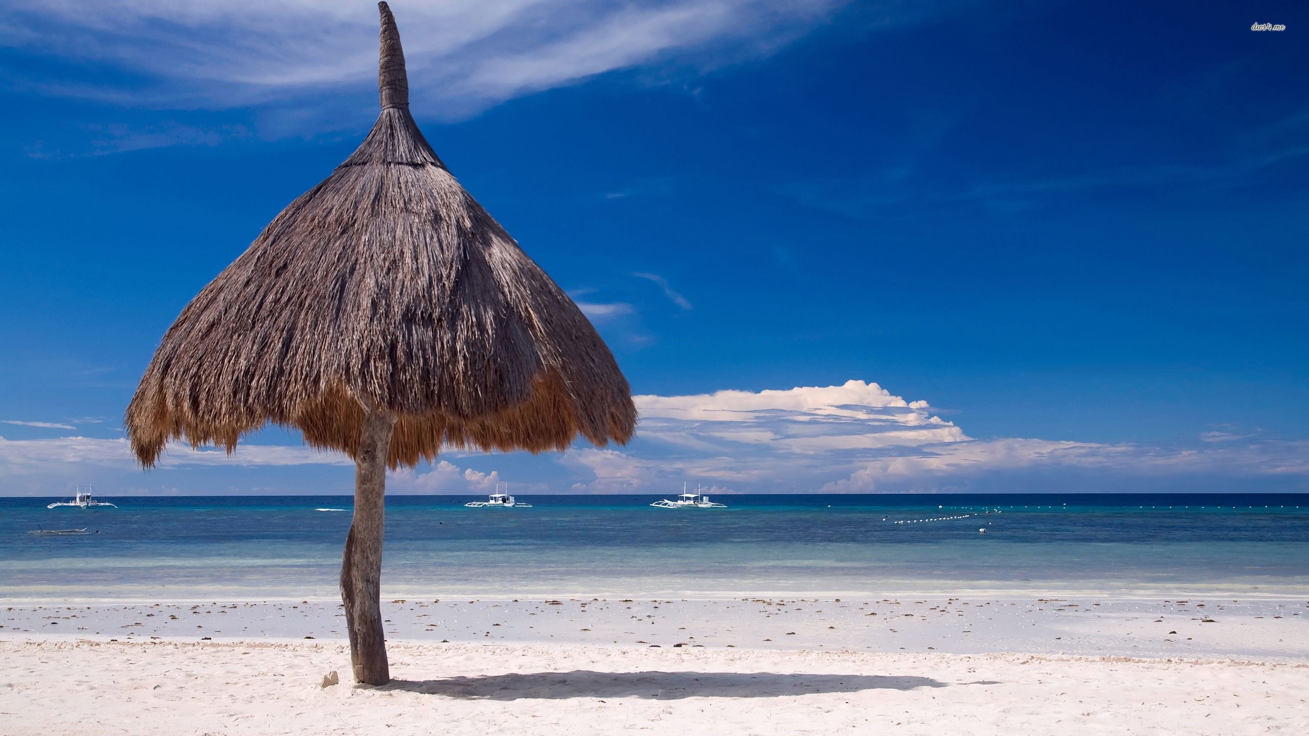 Bohol Beach - 2560x1440 Wallpaper - teahub.io