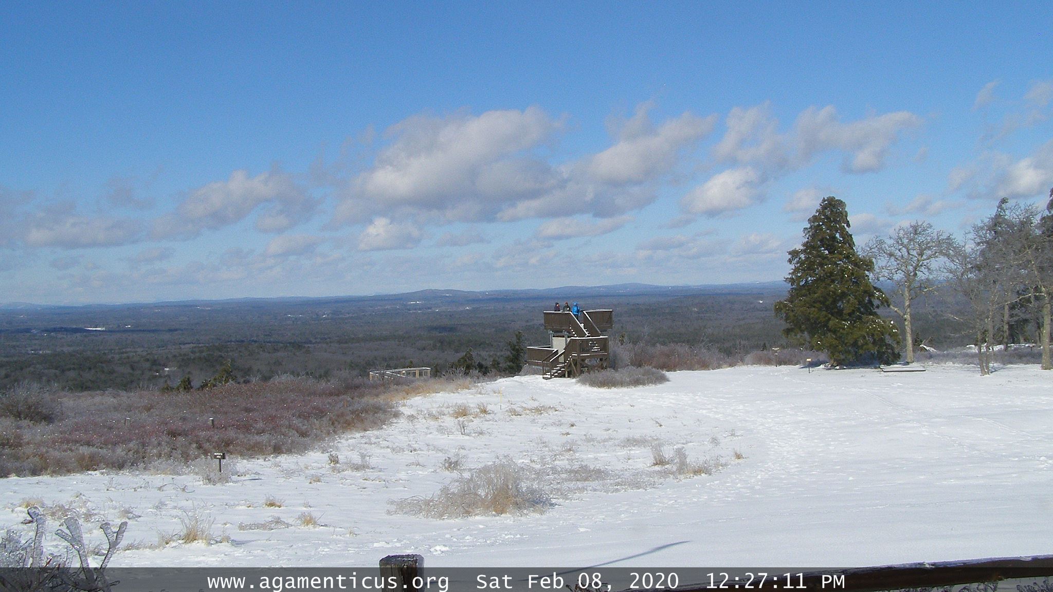 Shortleaf Black Spruce - 2048x1152 Wallpaper - teahub.io
