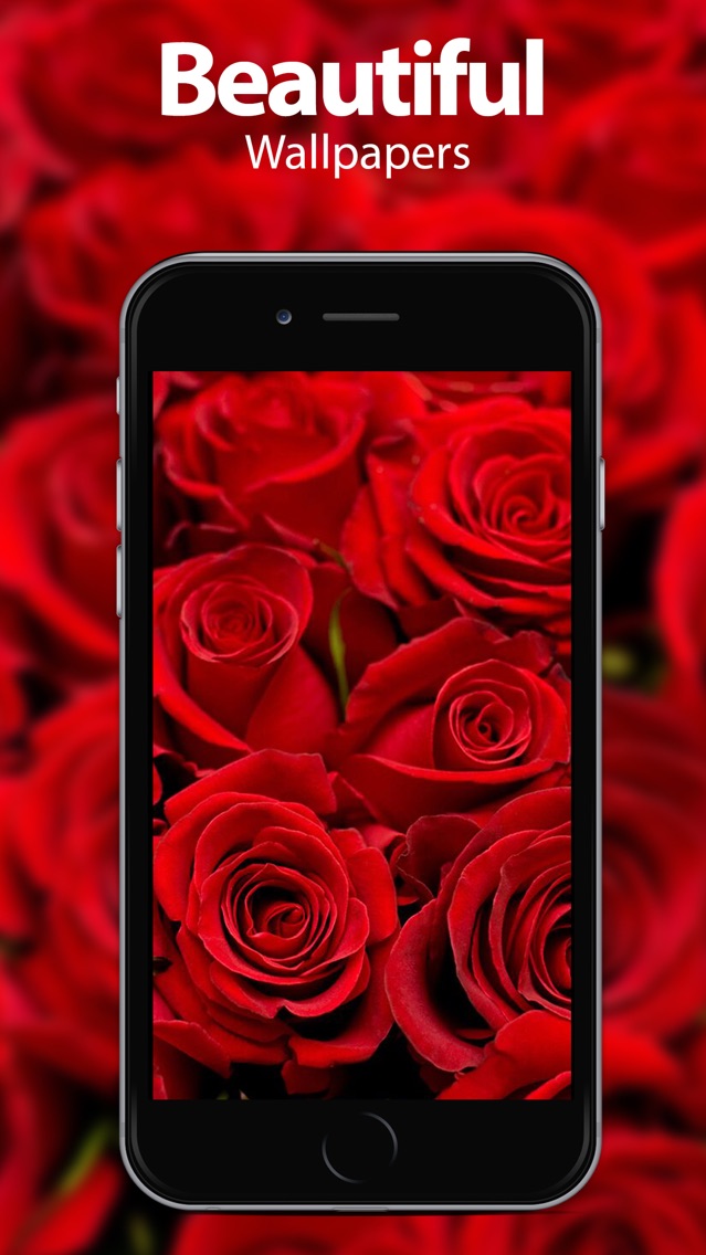 Flower Wallpapers & Themes - Red Roses Header - 639x1136 Wallpaper ...