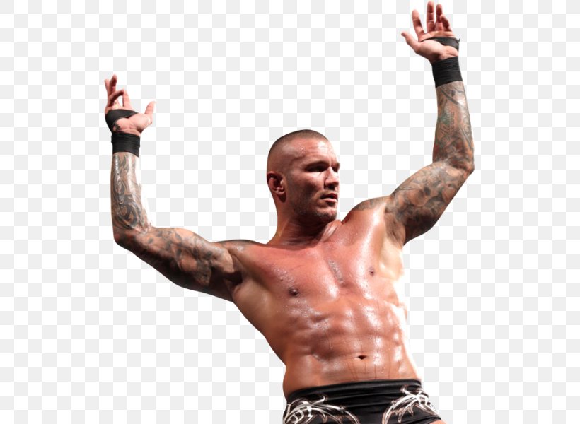 Randy Orton Rated-rko Cutter World Tag Team Championship, - Randy Orton ...