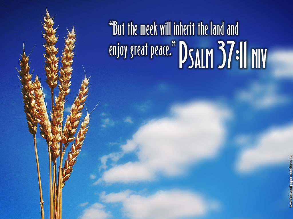 Psalm 37 - 1024x768 Wallpaper - teahub.io
