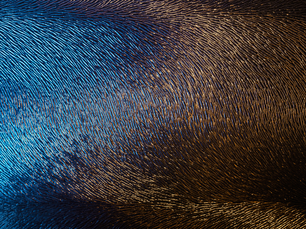 Pattern - 1024x768 Wallpaper - teahub.io