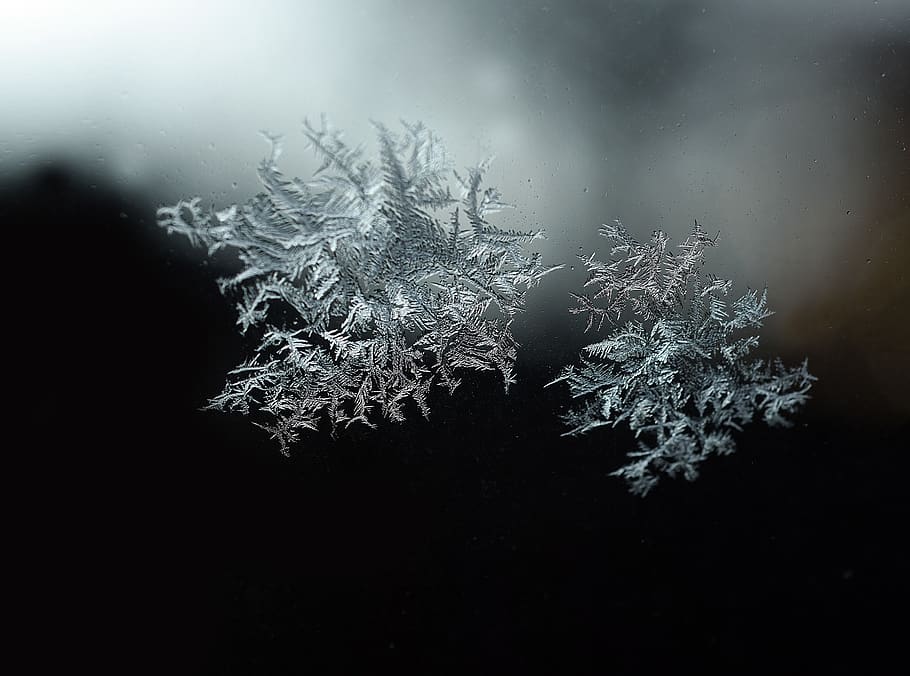 Crystal, Ice, Flake, Snow, Cold, Crystals, Gel, Nature, - Real Ice ...