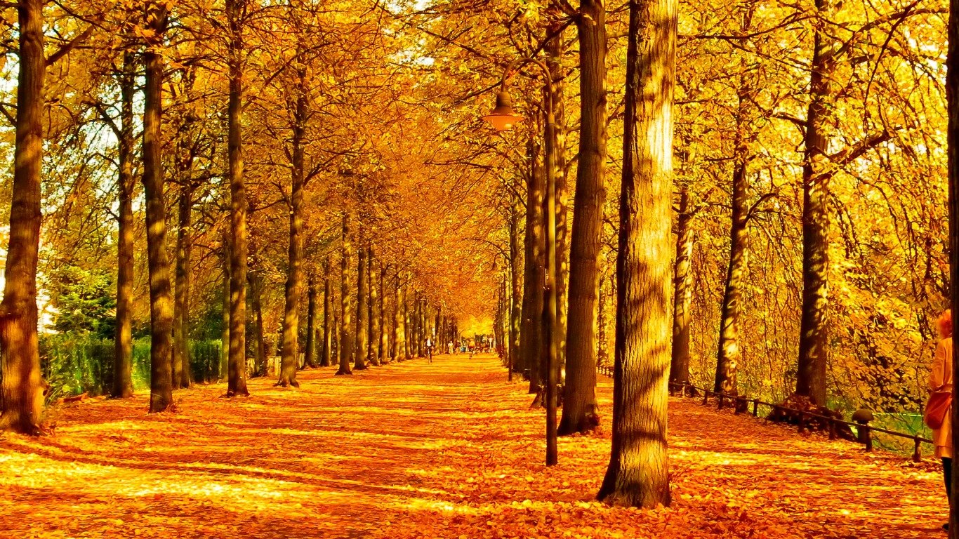 Awesome Fall Free Wallpaper Id - Fall Background - 1366x768 Wallpaper ...