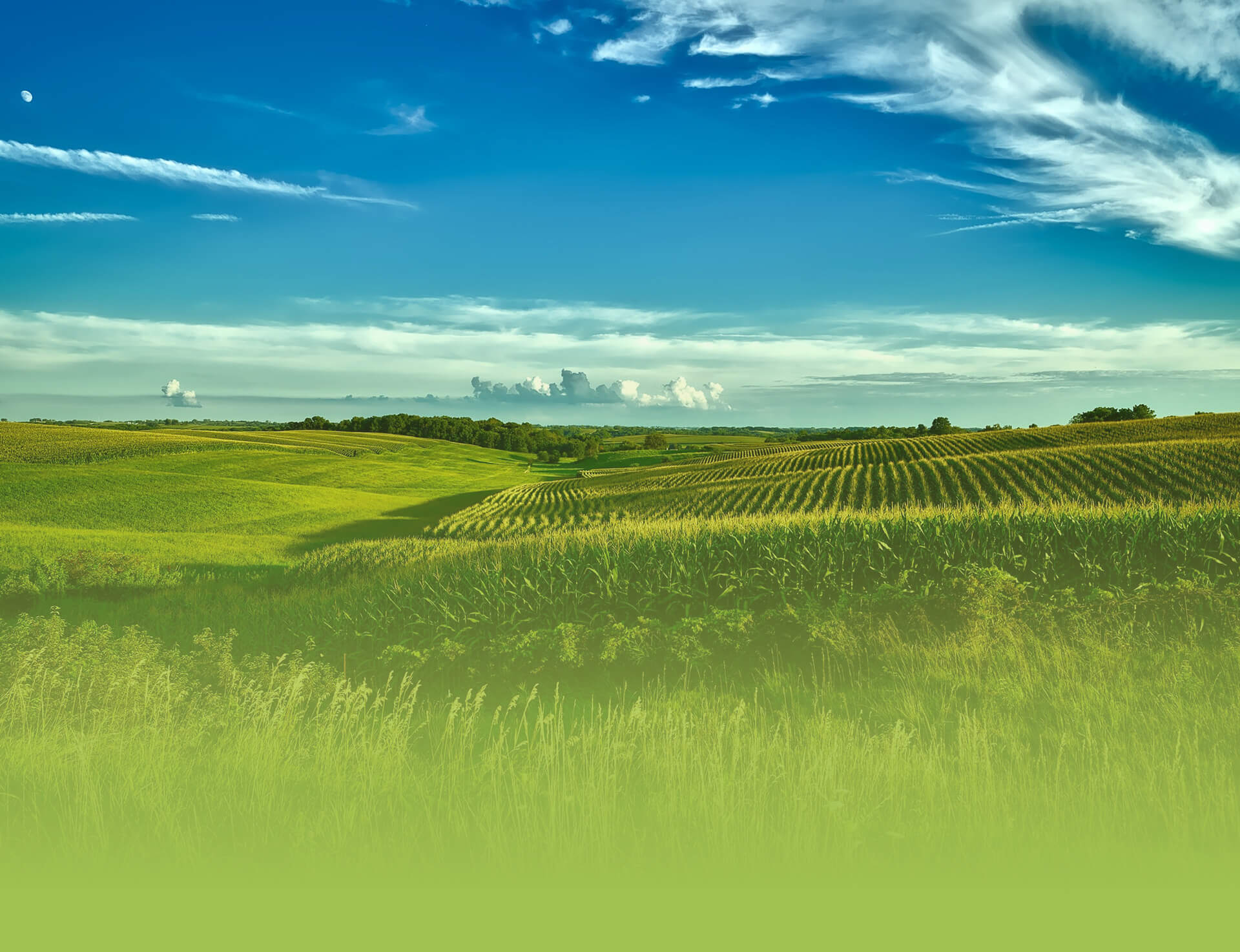 Agriculture Background Clipart Blue