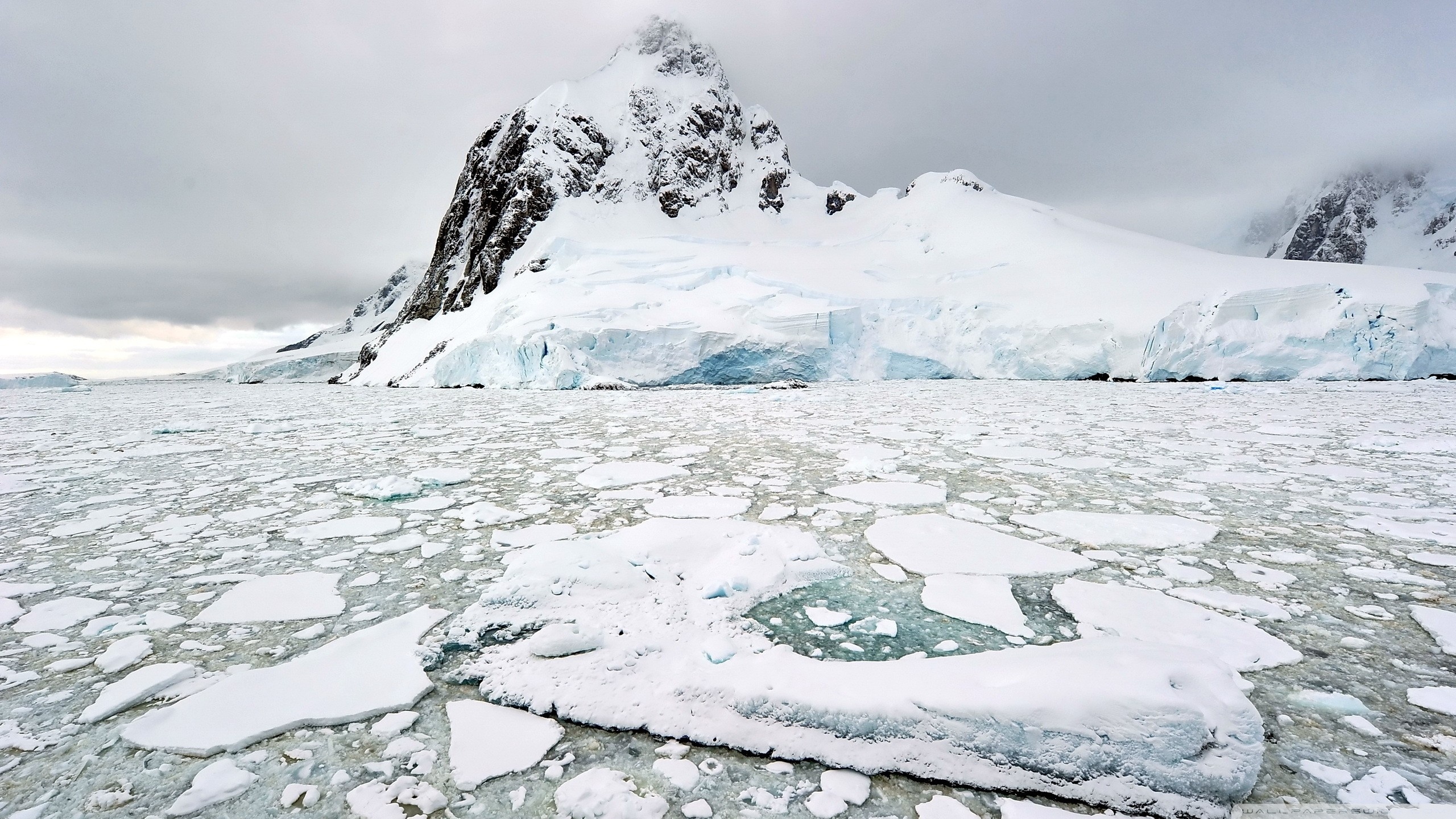 North Pole Wallpapers-188gw7t - 2560x1440 Wallpaper - teahub.io