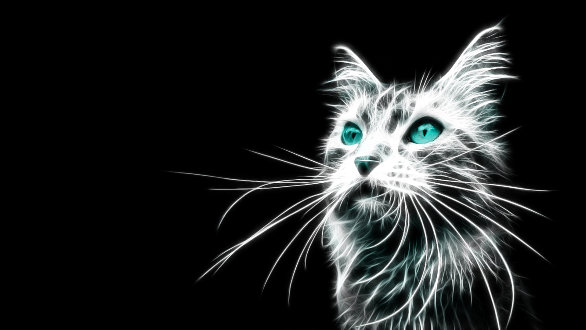 Hd Abstract Cat - 1920x1080 Wallpaper - teahub.io