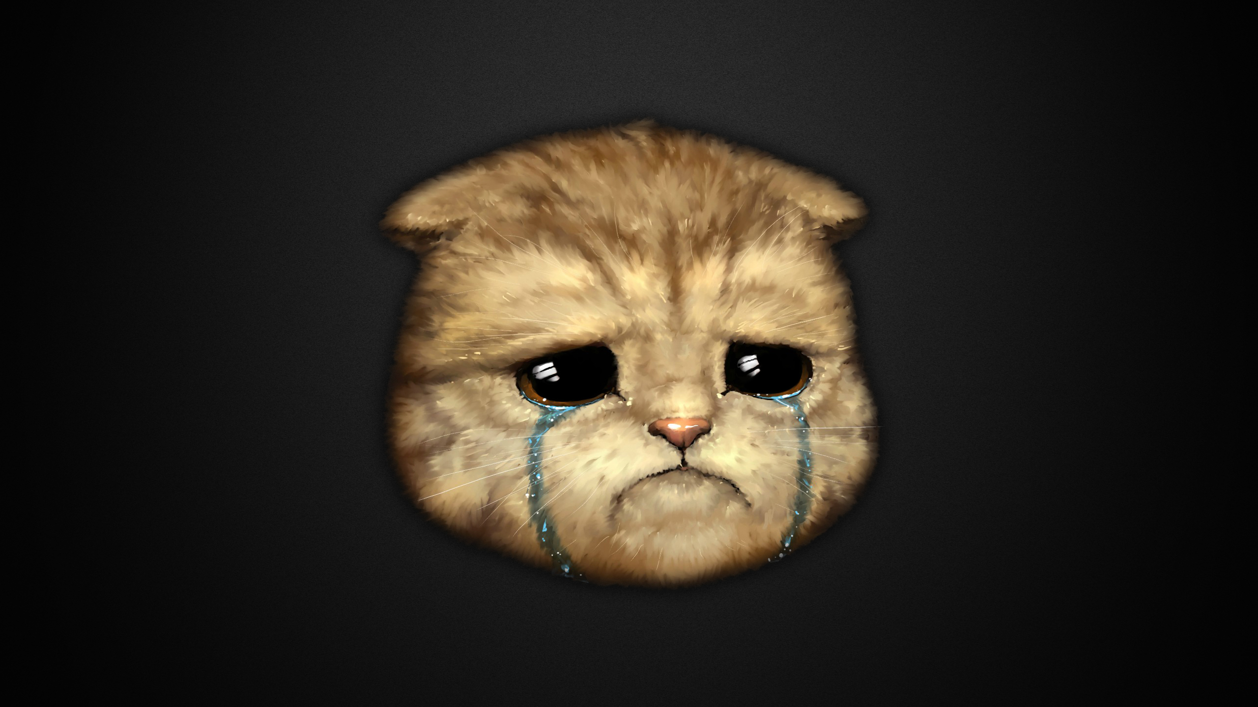 Lirik Cat Emote - 2560x1440 Wallpaper - teahub.io