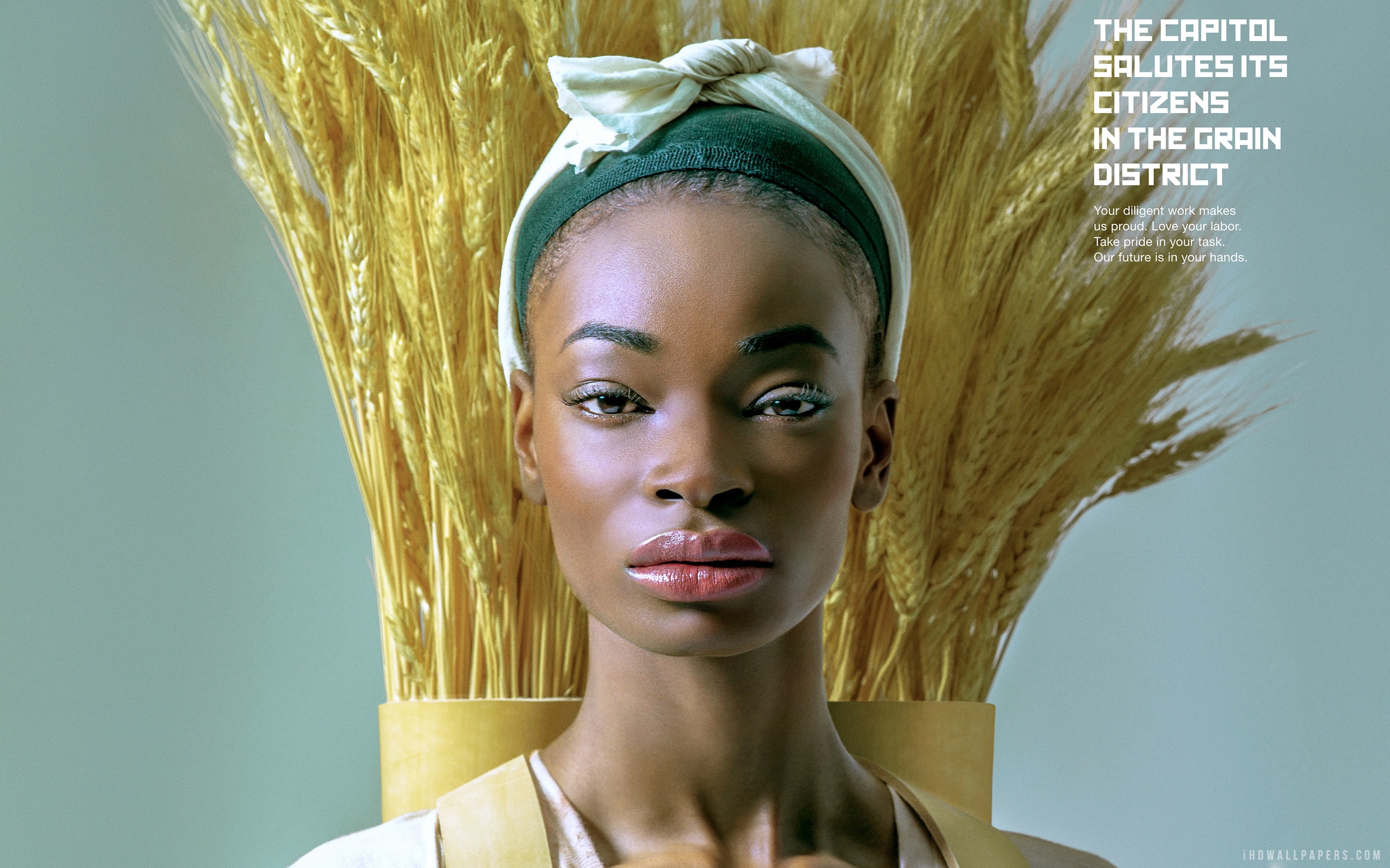 Hunger Games Victory Posters - 2880x1800 Wallpaper - teahub.io