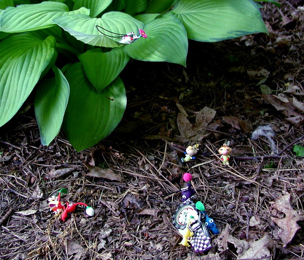 Real Pikmin - 1024x876 Wallpaper - teahub.io