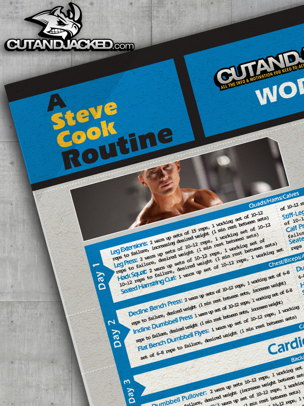 Steve Cook Lean Program Pdf - 600x800 Wallpaper - teahub.io