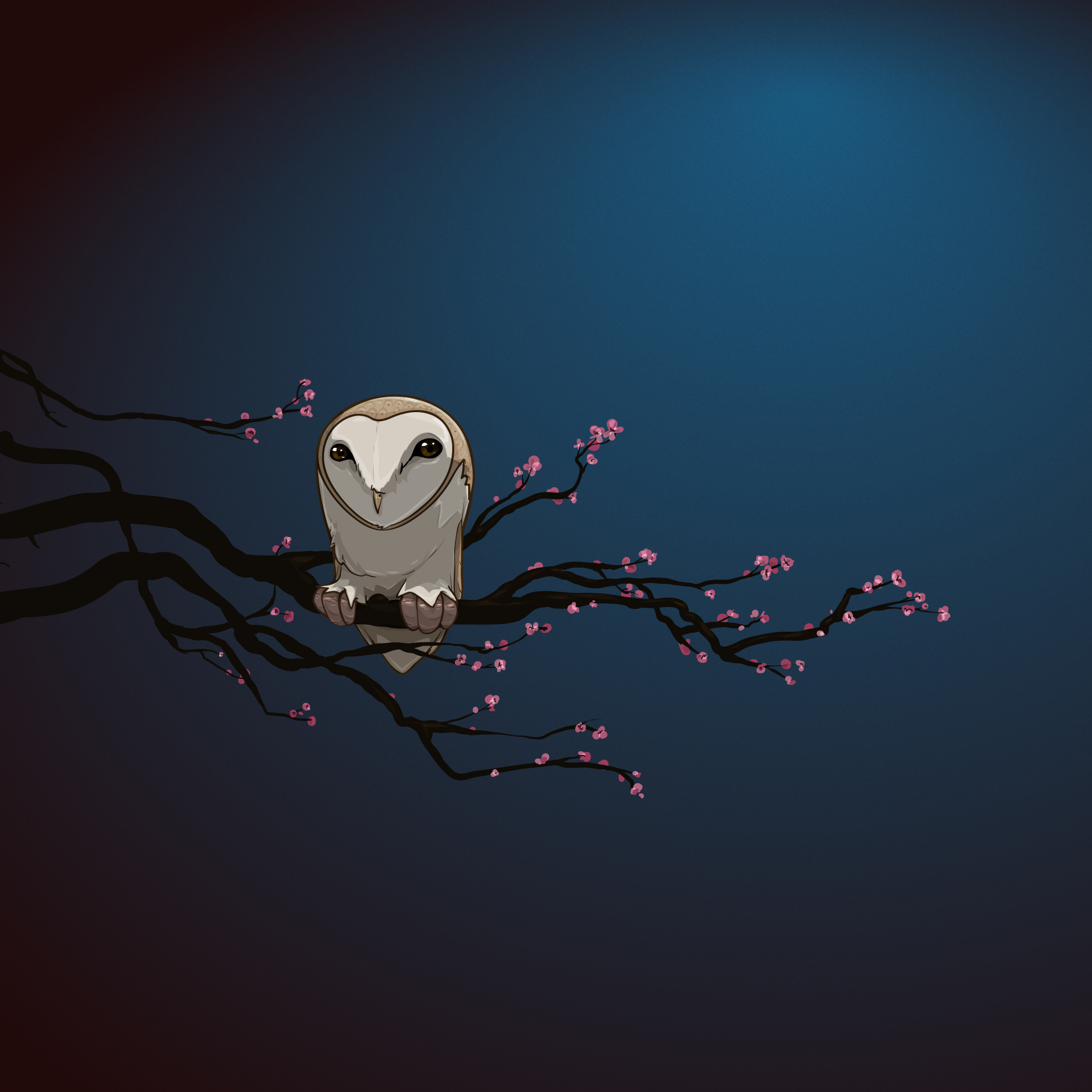Owl Wallpaper For Android - 2048x2048 Wallpaper - teahub.io