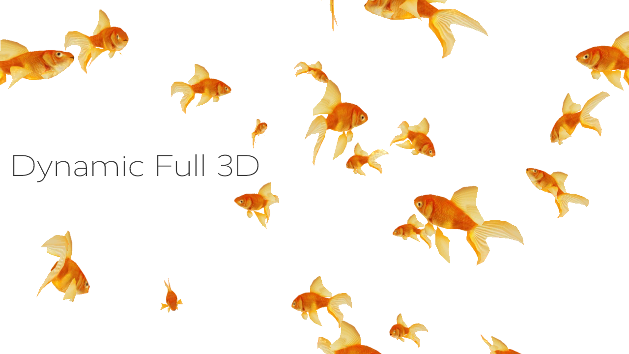 2 Gold Fish Png - 1280x720 Wallpaper - teahub.io