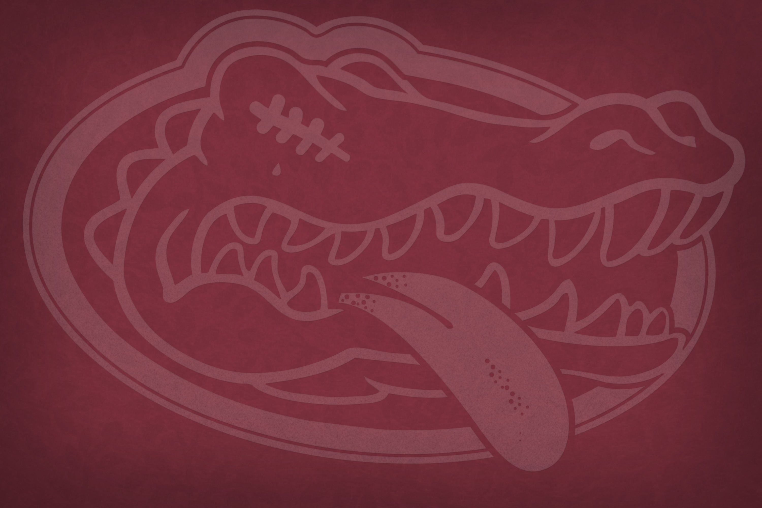 Free Fsu Wallpapers - Gator - 3000x2000 Wallpaper - teahub.io